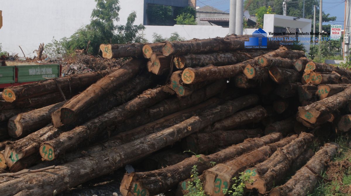 Fully Traceable Sustainable Wood Manufacturing | Farm To Factory